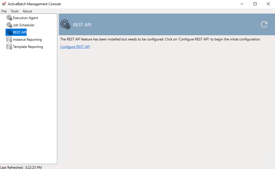 Configuring the REST API